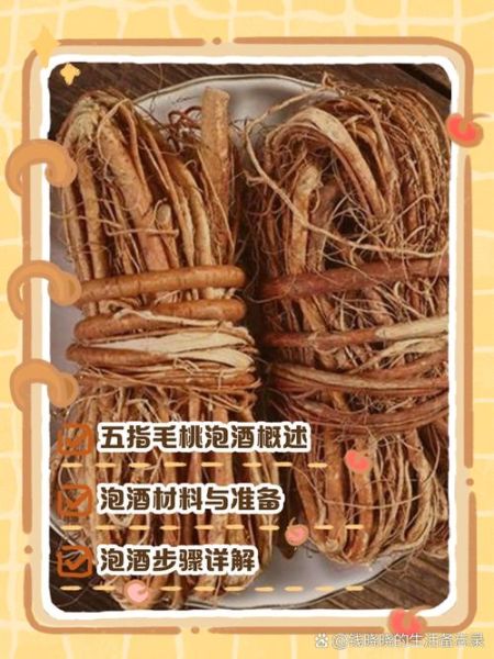 五指毛桃泡酒配方_泡多久能喝-第1张图片-山城妙识