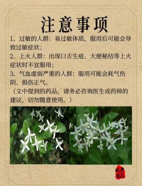 威灵仙图片大全大图_如何辨别真假威灵仙-第1张图片-山城妙识 威灵仙图片大全大图_如何辨别真假威灵仙-第1张图片-山城妙识