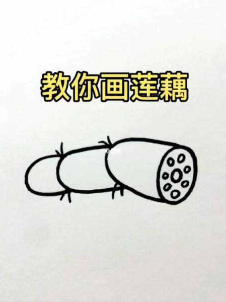 莲藕简笔画怎么画_莲藕简笔画步骤-第3张图片-山城妙识 莲藕简笔画怎么画_莲藕简笔画步骤-第3张图片-山城妙识