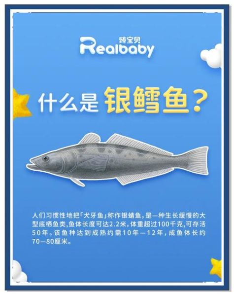 宝宝吃银鳕鱼的危害_银鳕鱼重金属超标吗-第1张图片-山城妙识