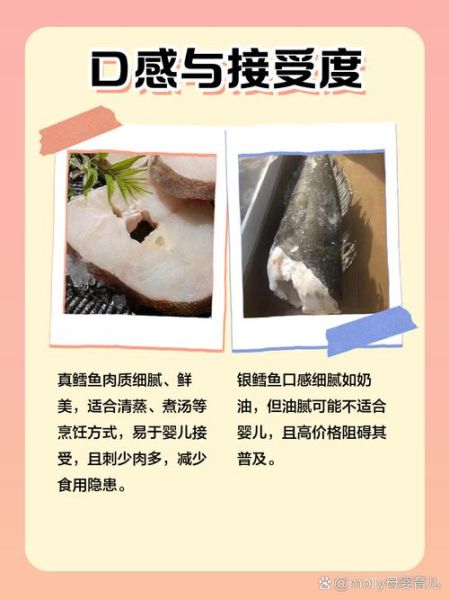宝宝吃银鳕鱼的危害_银鳕鱼重金属超标吗-第2张图片-山城妙识