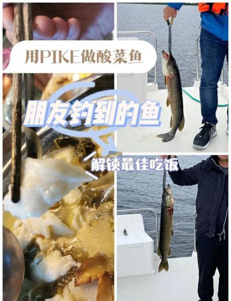 自制酸菜鱼调料怎么做_酸菜鱼调料配方比例-第3张图片-山城妙识