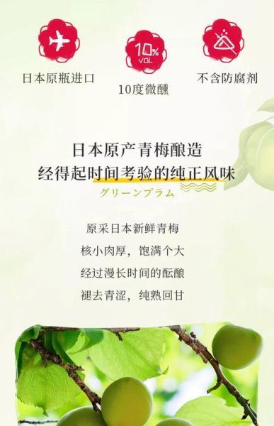 青梅酿酒怎么做_青梅酒比例配方-第2张图片-山城妙识