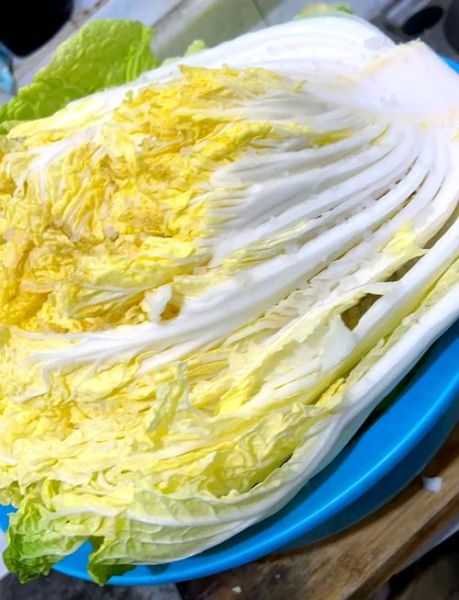 腌白菜的家常做法窍门_怎么腌白菜又脆又入味-第2张图片-山城妙识