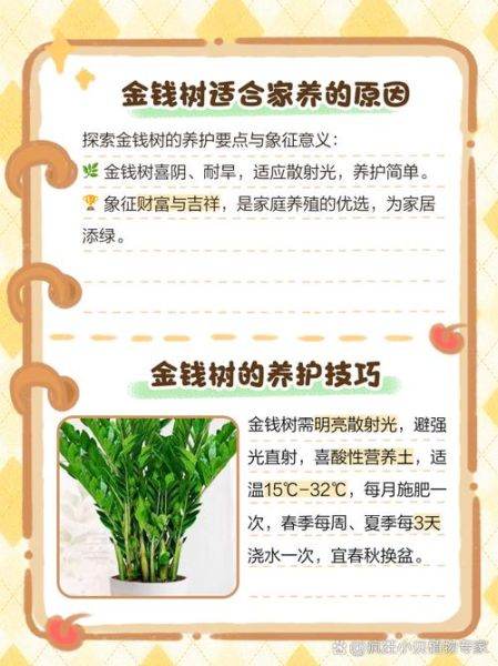 金钱树怎么养_金钱树养殖注意事项-第2张图片-山城妙识