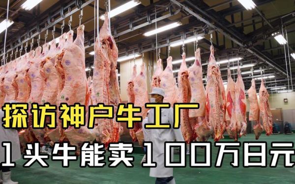 日本神户牛肉多少钱一斤人民币_正宗神户牛价格-第3张图片-山城妙识 日本神户牛肉多少钱一斤人民币_正宗神户牛价格-第3张图片-山城妙识