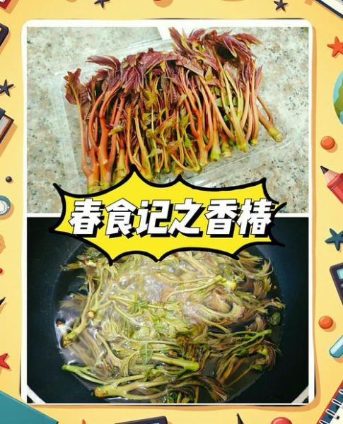 香椿是什么_香椿怎么吃才安全-第1张图片-山城妙识 香椿是什么_香椿怎么吃才安全-第1张图片-山城妙识