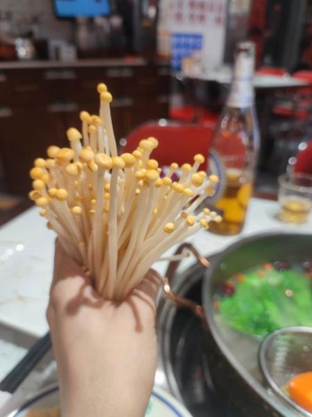 金针菇怎么保存不变黑_金针菇图片识别技巧-第3张图片-山城妙识 金针菇怎么保存不变黑_金针菇图片识别技巧-第3张图片-山城妙识