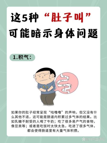 肚子咕咕叫是什么原因_肚子咕咕叫怎么缓解-第1张图片-山城妙识 肚子咕咕叫是什么原因_肚子咕咕叫怎么缓解-第1张图片-山城妙识
