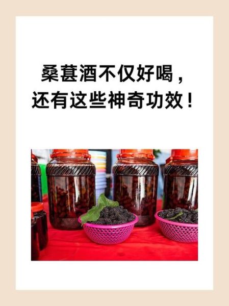 桑葚泡酒的功效与禁忌_桑葚酒怎么喝不伤身-第2张图片-山城妙识