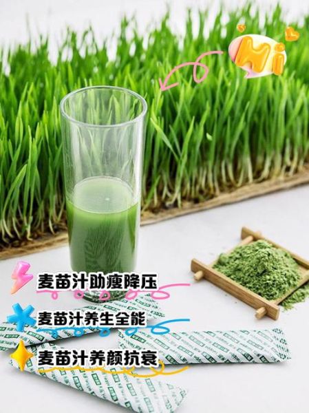麦苗汁的功效与作用_麦苗汁能减肥吗-第1张图片-山城妙识