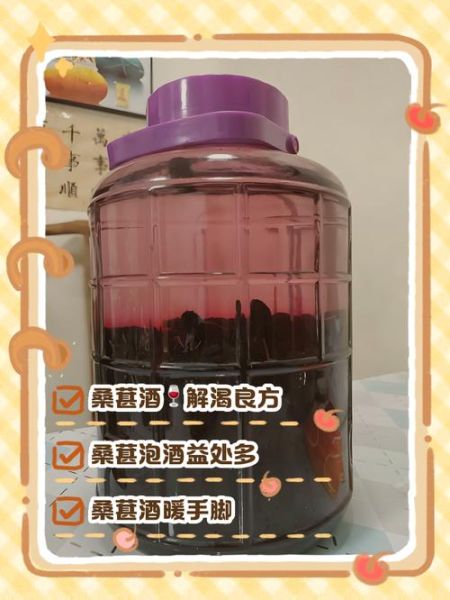 桑葚泡酒的功效与禁忌_桑葚酒怎么喝不伤身-第3张图片-山城妙识