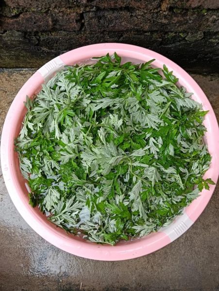 艾草团子的功效与作用_艾草团子适合什么人吃-第2张图片-山城妙识