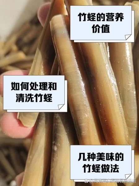 竹蛏子怎么清理_竹蛏子清洗内脏步骤-第2张图片-山城妙识