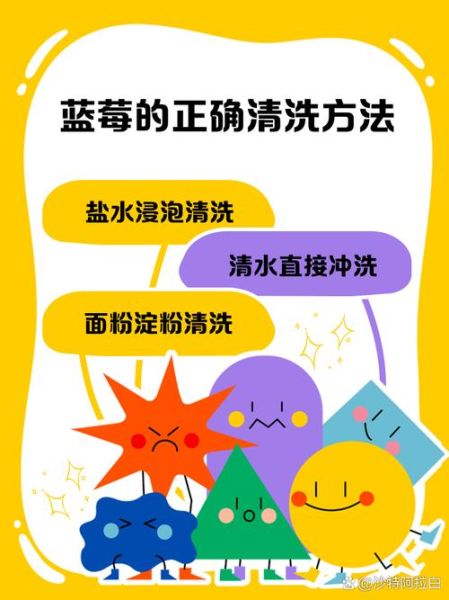 蓝莓怎么洗才能洗干净_蓝莓清洗的正确方法-第1张图片-山城妙识 蓝莓怎么洗才能洗干净_蓝莓清洗的正确方法-第1张图片-山城妙识