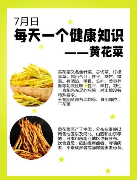 黄花菜有什么功效与作用_黄花菜怎么吃最营养-第1张图片-山城妙识 黄花菜有什么功效与作用_黄花菜怎么吃最营养-第1张图片-山城妙识