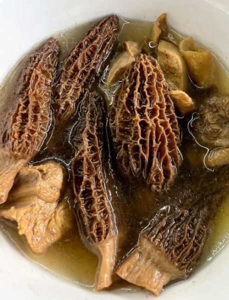 野生羊肚菌怎么吃_野生羊肚菌做法大全-第1张图片-山城妙识 野生羊肚菌怎么吃_野生羊肚菌做法大全-第1张图片-山城妙识