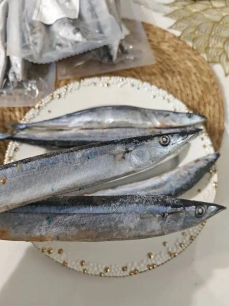 野生三刀鱼多少钱一斤_野生三刀鱼价格行情-第3张图片-山城妙识 野生三刀鱼多少钱一斤_野生三刀鱼价格行情-第3张图片-山城妙识