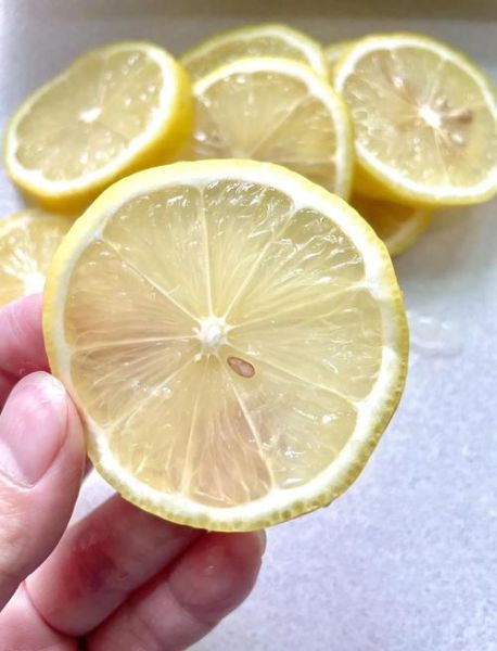 柠檬能做什么_柠檬怎么保存-第3张图片-山城妙识