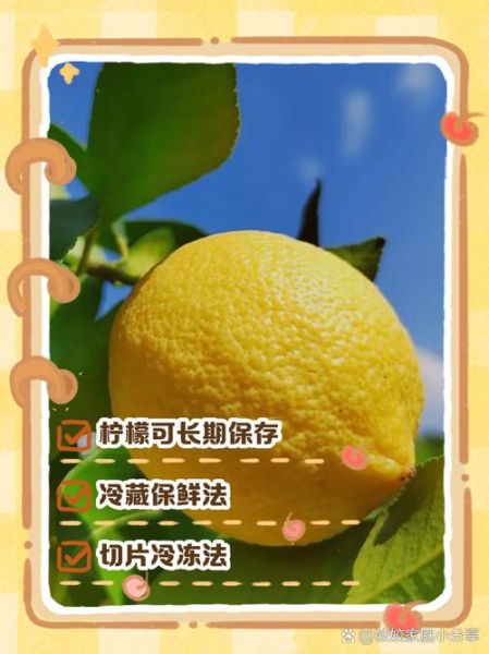 柠檬能做什么_柠檬怎么保存-第2张图片-山城妙识