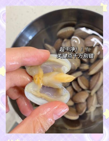 花甲螺怎么吐沙子_花甲螺吐沙子最快的方法-第1张图片-山城妙识 花甲螺怎么吐沙子_花甲螺吐沙子最快的方法-第1张图片-山城妙识