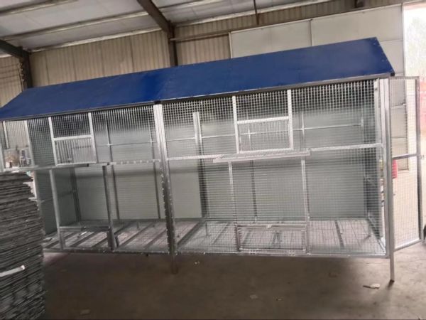 鸽子笼怎么选_鸽子笼价格多少钱-第1张图片-山城妙识 鸽子笼怎么选_鸽子笼价格多少钱-第1张图片-山城妙识