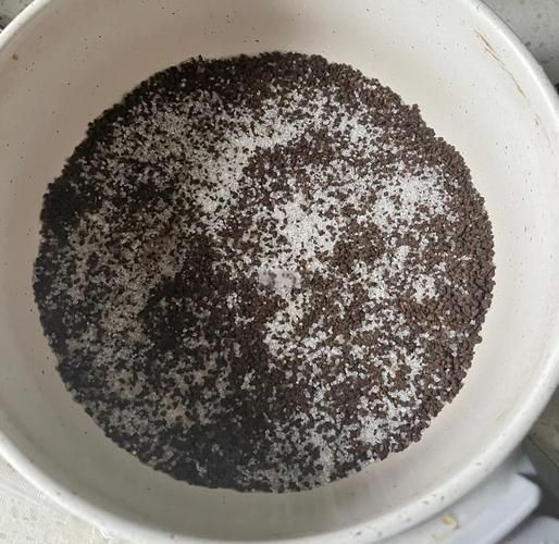 家庭版焦糖奶茶怎么做_焦糖奶茶的简单做法-第2张图片-山城妙识 家庭版焦糖奶茶怎么做_焦糖奶茶的简单做法-第2张图片-山城妙识