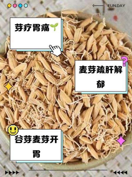 谷芽和麦芽的区别_谷芽麦芽功效一样吗-第3张图片-山城妙识 谷芽和麦芽的区别_谷芽麦芽功效一样吗-第3张图片-山城妙识