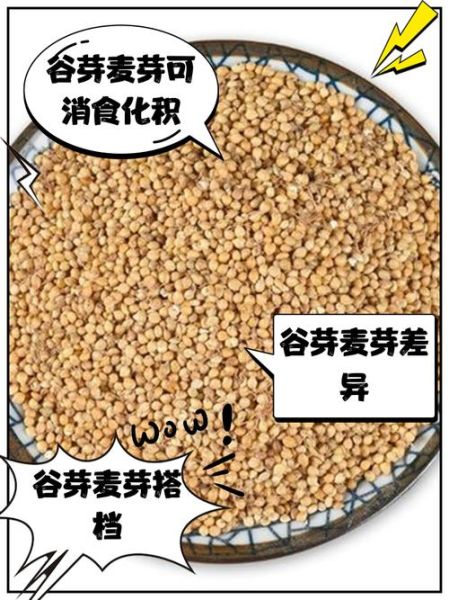 谷芽和麦芽的区别_谷芽麦芽功效一样吗-第2张图片-山城妙识 谷芽和麦芽的区别_谷芽麦芽功效一样吗-第2张图片-山城妙识