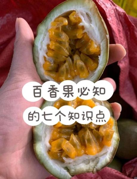 百香果的功效与作用禁忌_怎么吃最好-第2张图片-山城妙识 百香果的功效与作用禁忌_怎么吃最好-第2张图片-山城妙识