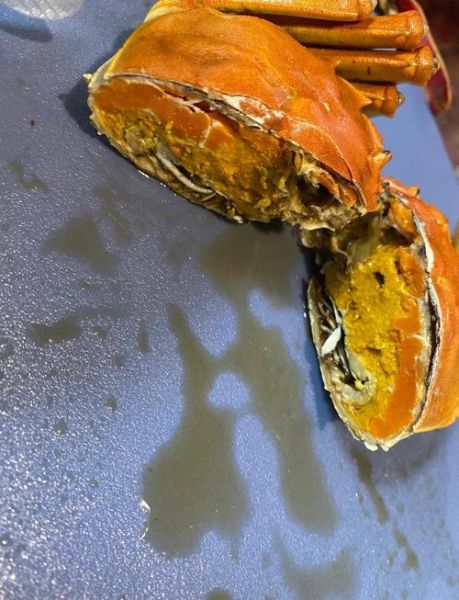 熟螃蟹放冰箱5天能吃吗_熟螃蟹冷藏多久安全-第2张图片-山城妙识