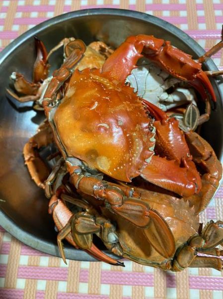 熟螃蟹放冰箱5天能吃吗_熟螃蟹冷藏多久安全-第3张图片-山城妙识