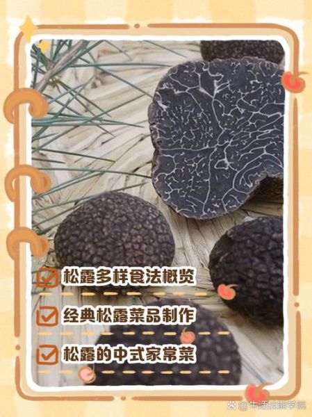 新鲜松露怎么做好吃_松露保存方法-第2张图片-山城妙识 新鲜松露怎么做好吃_松露保存方法-第2张图片-山城妙识