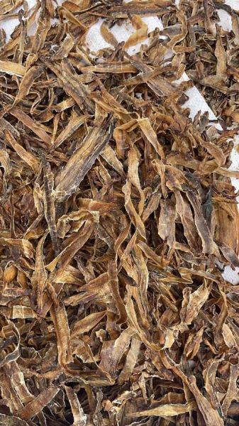 地龙图片_地龙长什么样-第3张图片-山城妙识