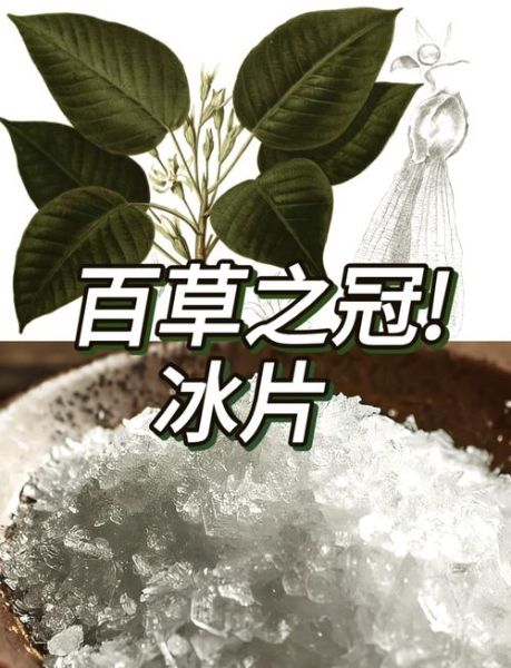 冰片外敷怎么使用_冰片外敷的正确方法-第2张图片-山城妙识