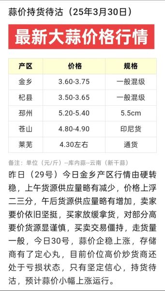 今日大蒜多少钱一斤_2024年6月大蒜价格还会涨吗-第1张图片-山城妙识
