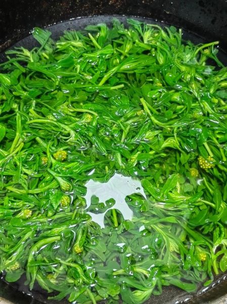 鼠曲草怎么做好吃_鼠曲草的做法大全-第2张图片-山城妙识