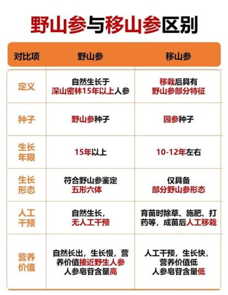 山参和人参的区别_野生与栽培差异在哪-第3张图片-山城妙识