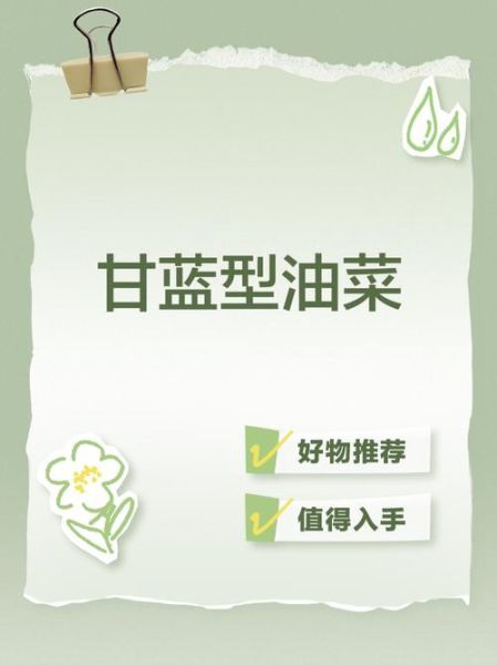 甘蓝型油菜种植技术_甘蓝型油菜亩产多少斤-第2张图片-山城妙识