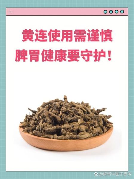 黄莲功效作用与主治功能_黄莲能治疗哪些疾病-第2张图片-山城妙识