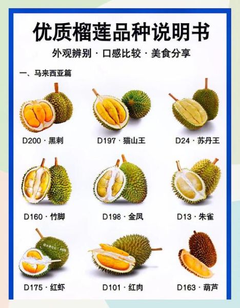榴莲品种十大排名_哪种最好吃-第2张图片-山城妙识