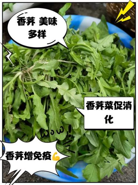 香荠菜长什么样_香荠菜和荠菜区别-第3张图片-山城妙识