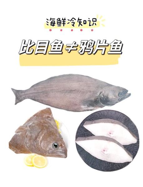 鸦片鱼禁忌人群_哪些人不能吃鸦片鱼-第3张图片-山城妙识