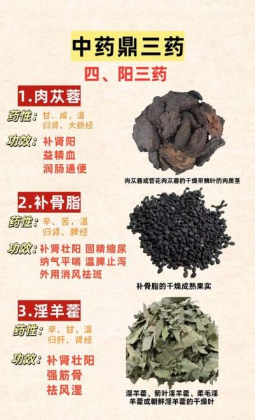 补气血的中药材有哪些_女人吃什么补气养血最快-第3张图片-山城妙识