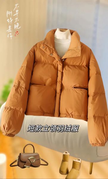 白鸭绒羽绒服一般多少钱_白鸭绒羽绒服价格区间-第2张图片-山城妙识