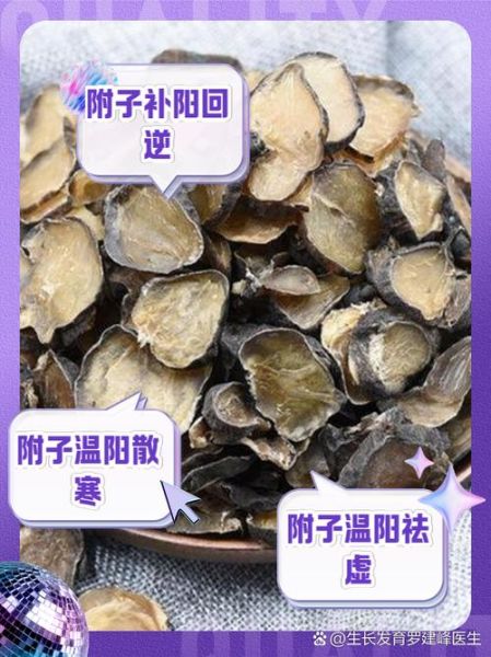 附子汤的功效与作用_附子汤适合哪些人喝-第1张图片-山城妙识 附子汤的功效与作用_附子汤适合哪些人喝-第1张图片-山城妙识