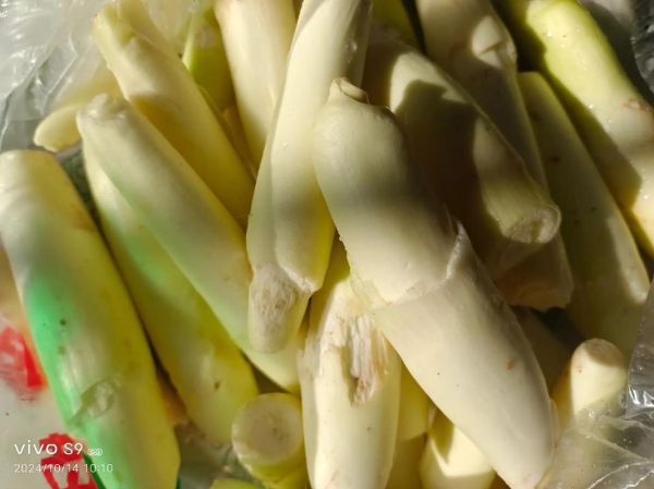 茭白切开里面有黑点能吃吗_茭白黑点是什么-第2张图片-山城妙识 茭白切开里面有黑点能吃吗_茭白黑点是什么-第2张图片-山城妙识