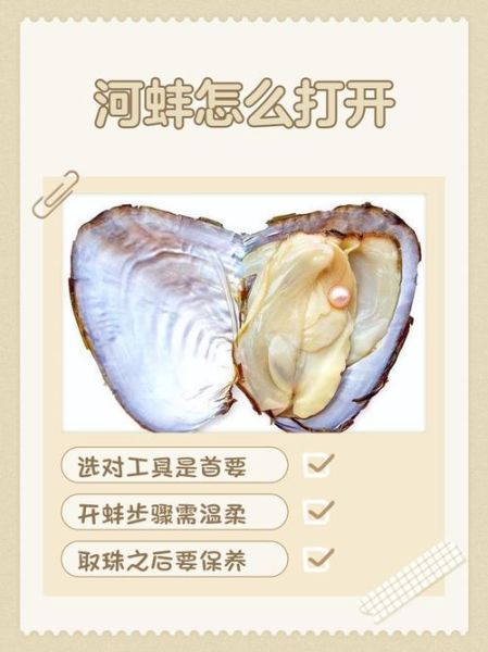 河蚌怎么处理干净_河蚌怎么吃最好吃-第1张图片-山城妙识 河蚌怎么处理干净_河蚌怎么吃最好吃-第1张图片-山城妙识