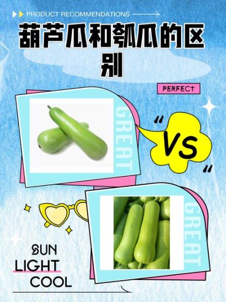 瓠瓜图片_瓠瓜和葫芦的区别-第1张图片-山城妙识 瓠瓜图片_瓠瓜和葫芦的区别-第1张图片-山城妙识