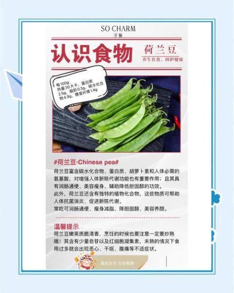 荷兰豆不能和什么一起吃_哪些食物相克-第2张图片-山城妙识 荷兰豆不能和什么一起吃_哪些食物相克-第2张图片-山城妙识